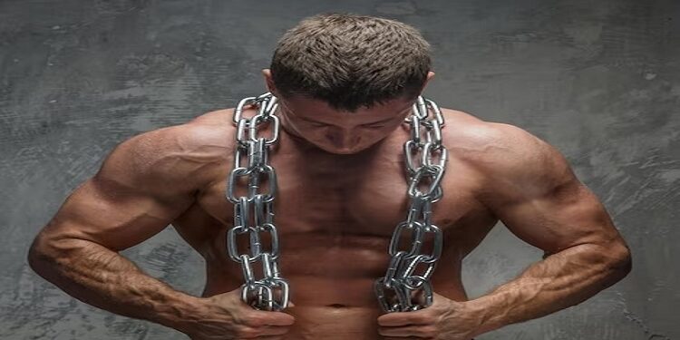 Building Muscle and Strength - colosseumstrength.com